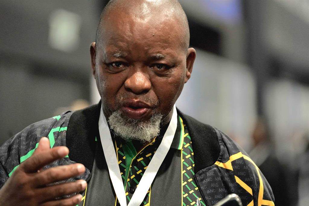 Mixed reactions on Seta appointments which include Mantashe’s son, ANC ...