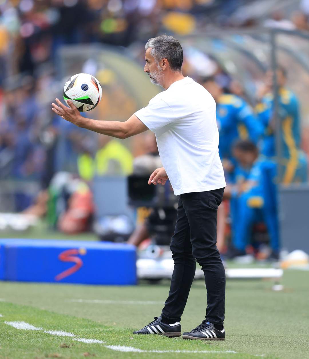 José Riveiro: ‘Forget what happened at the beginning - that plumber ...