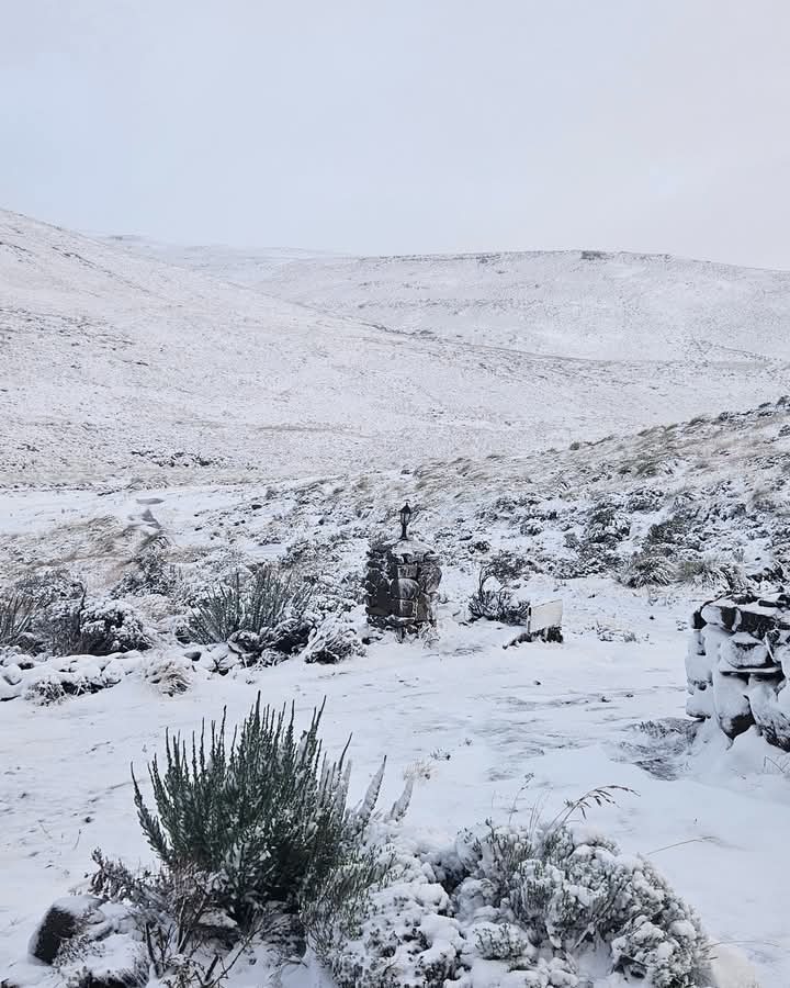 LIVE | Snowfall in high-lying areas of the Eastern Cape | News24