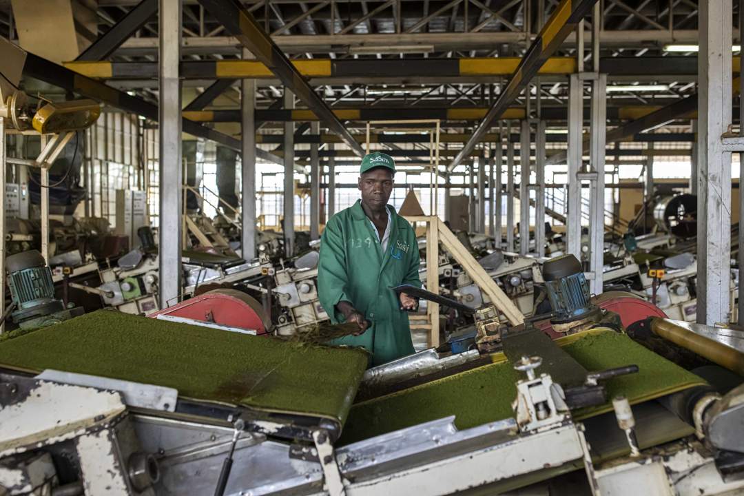 ‘Tea for two’ as Kenya seeks to boost exports to China | News24