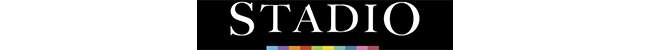STADIO launches future-focused IT qualifications for the AI age | News24