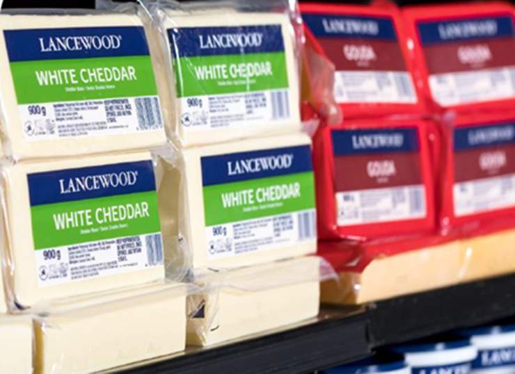 Lancewood owner Libstar rallies after solid update | News24