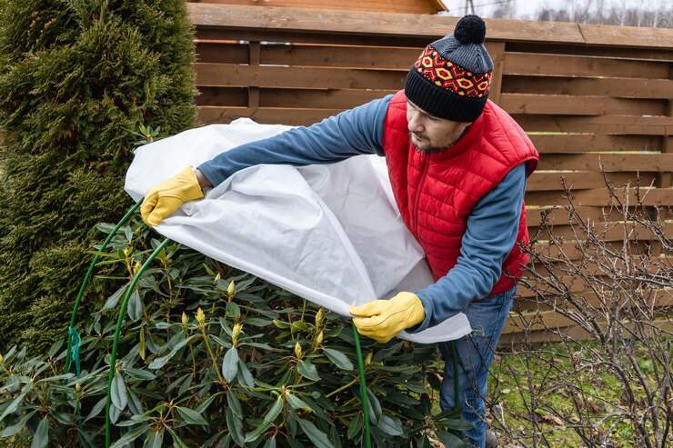 Expert advice: How to win at winter gardening | News24