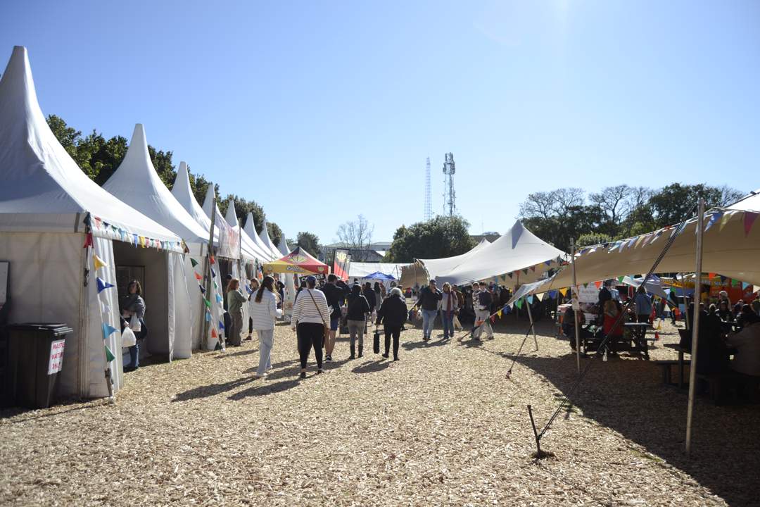 ‘Hub of ideas’: National Arts Festival warms up as attendees fill ...