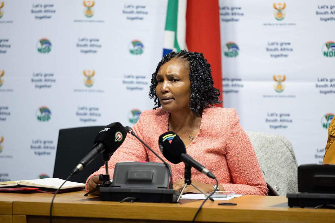 Simelane unmoved by DA’s campaign to oppose R33bn human settlements ...