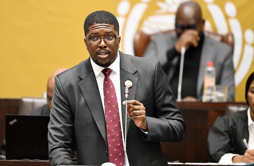 Not a nanny ministry: Hlengwa blasts ex-RAF board at Scopa, denies ...