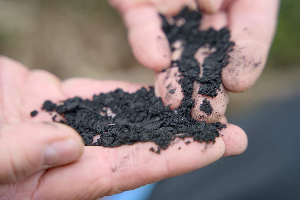 Biochar boom? South Africa bets on super charcoal for green jobs | News24