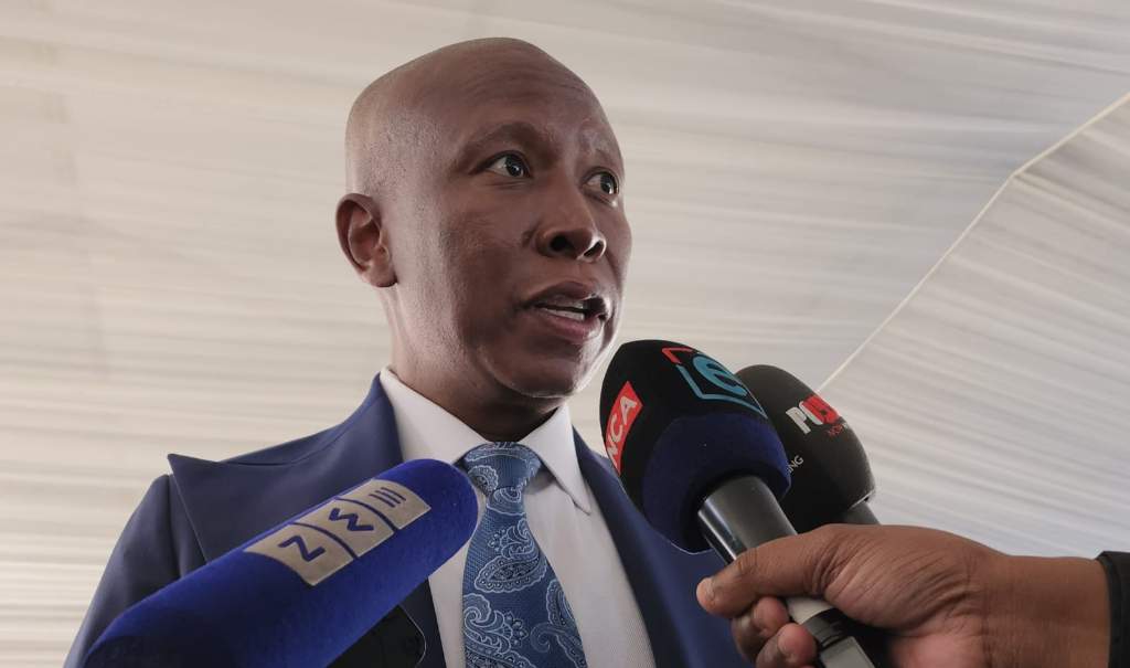 ‘The president should fire Mchunu’: Julius Malema wants the axe to fall ...