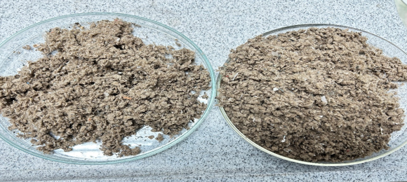 Paper waste into animal feed? These researchers say it’ll cut costs and ...
