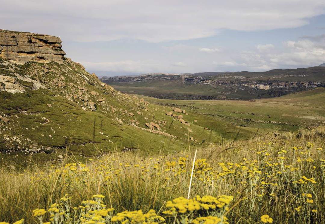 Mic van Zyl: Unplanned KZN road-trip reveals SA’s natural splendour ...