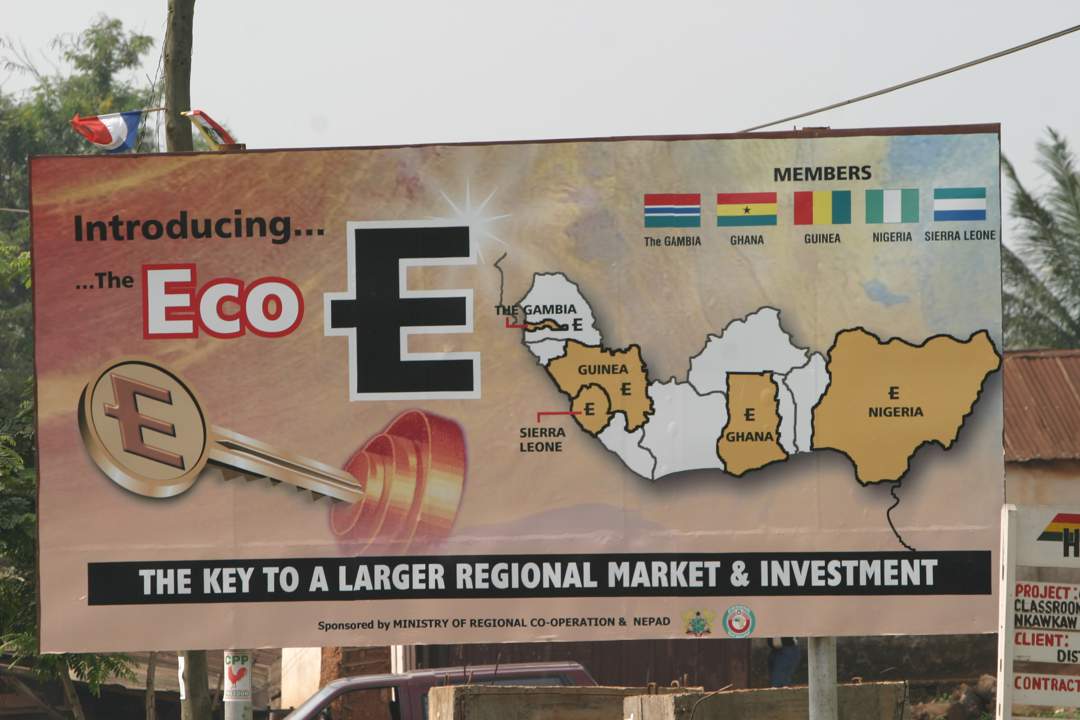Will ECOWAS meet its 2027 currency launch goal? | News24
