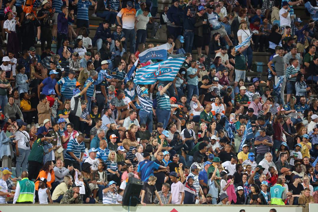 Griquas overpower Cheetahs, set up Currie Cup showdown with Lions | News24