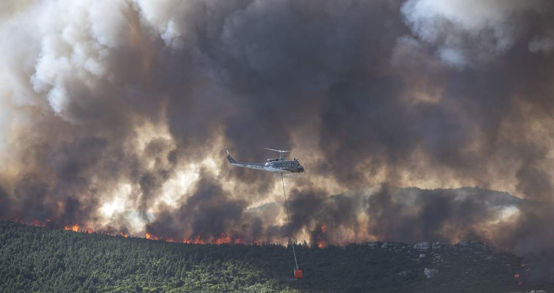 Silver lining in the Table Mountain fire | News24