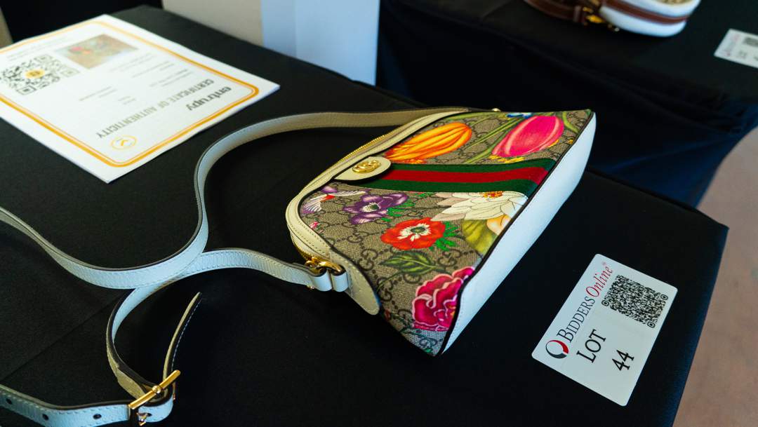MaMkhize’s tax troubles: 23 designer bags and a Lamborghini up for ...