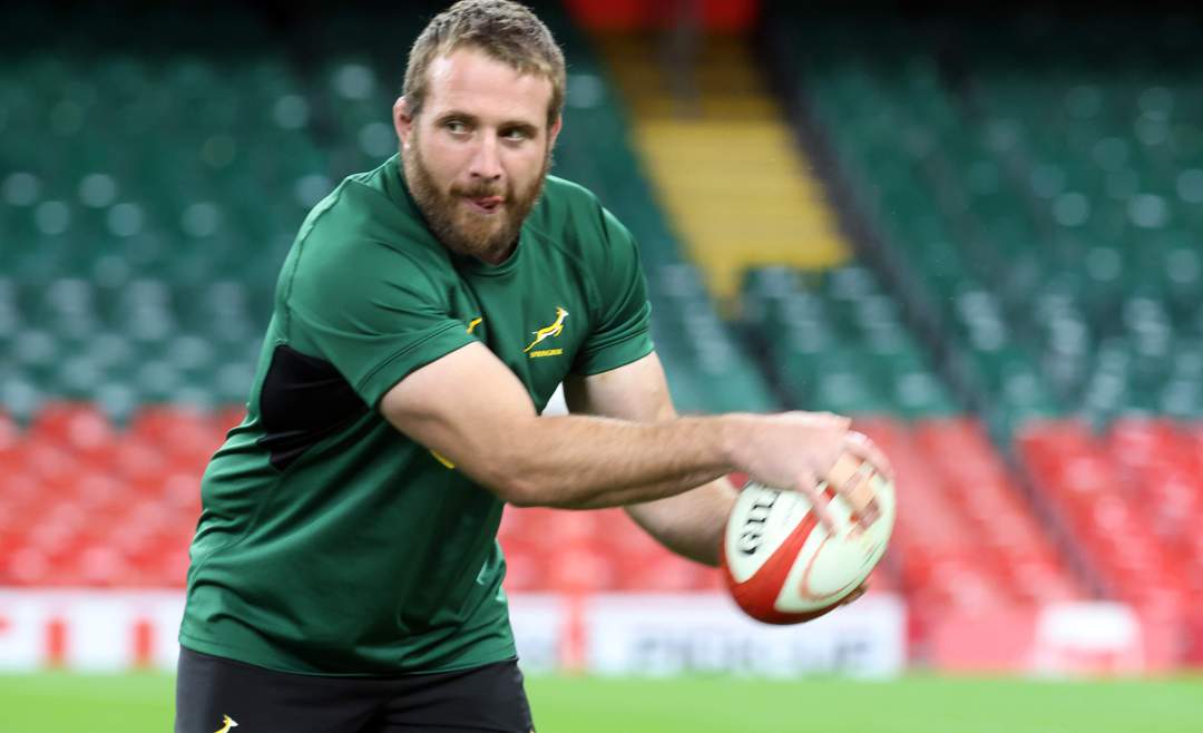 Bok interrupted: Bulls scrum guru on Steenekamp’s rise up the loosehead ...