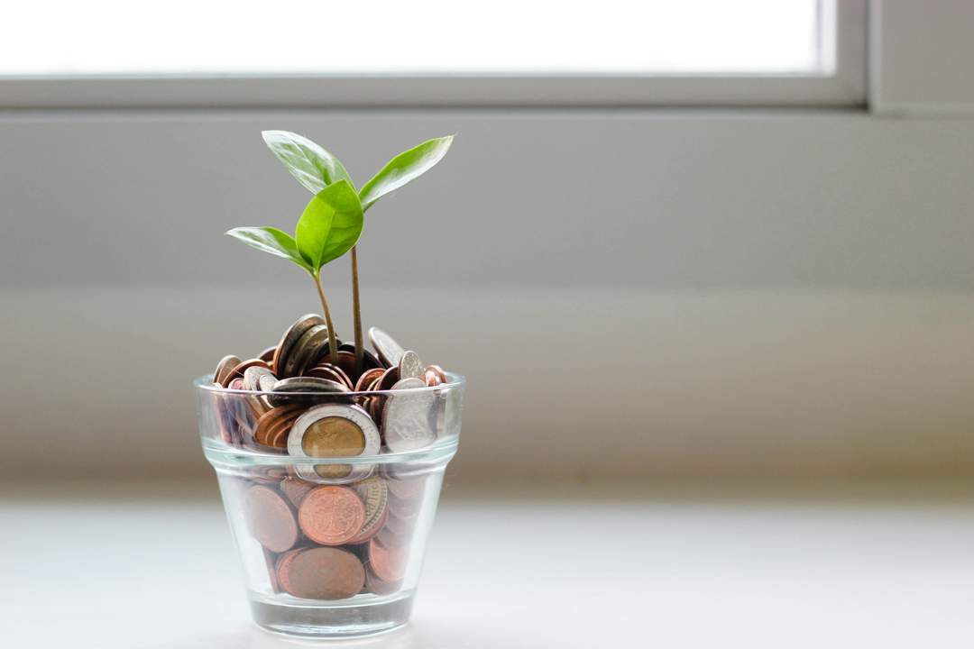 Financial literacy matters more than ever for SA online traders | News24