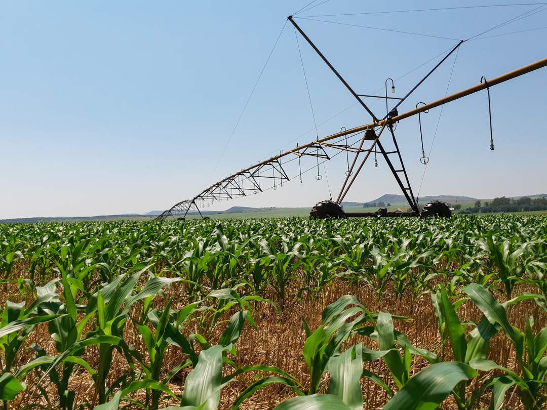 Mining, farming drive SA GDP growth streak - with construction finally ...