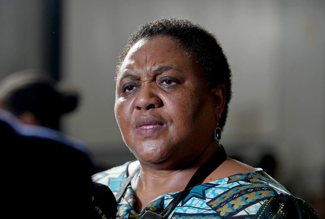 Didiza and Ramokgopa enter ANC succession race, despite NGC campaigning ...