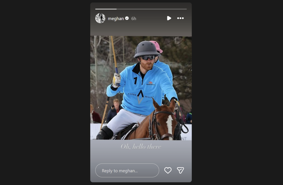 SEE | Prince Harry hits the snow: Surprise appearance at polo ...