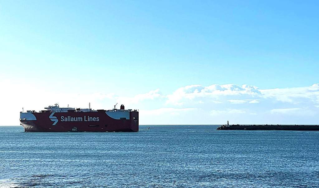 Port of East London seeks major upgrades to expand vessel capacity | News24