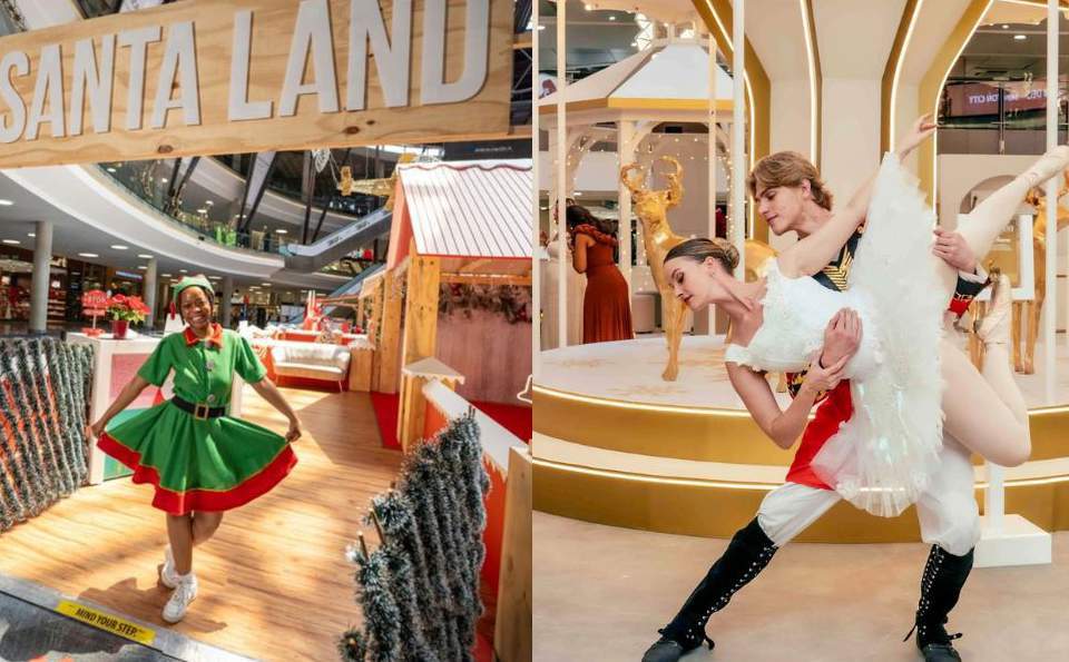 From Christmas lights to tree decorating: Fun activities across SA for ...