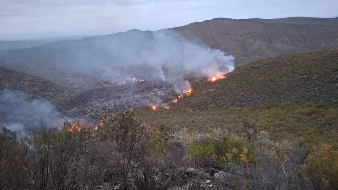 WATCH | Raging wildfire rips through Oudtshoorn mountains | News24