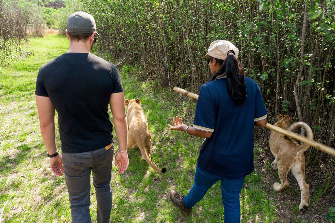 From bushcations to Insta picture-chasers, group travellers love ...