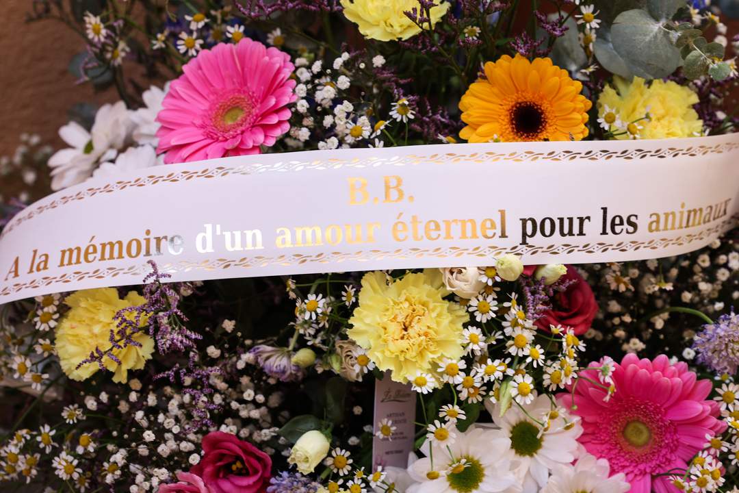 Brigitte Bardot buried in Saint-Tropez as cause of death revealed | News24