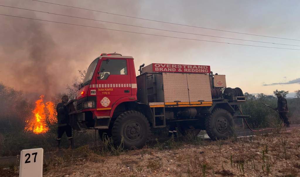 WATCH | Stanford fire: Missing tiger found as wildfires tear through ...