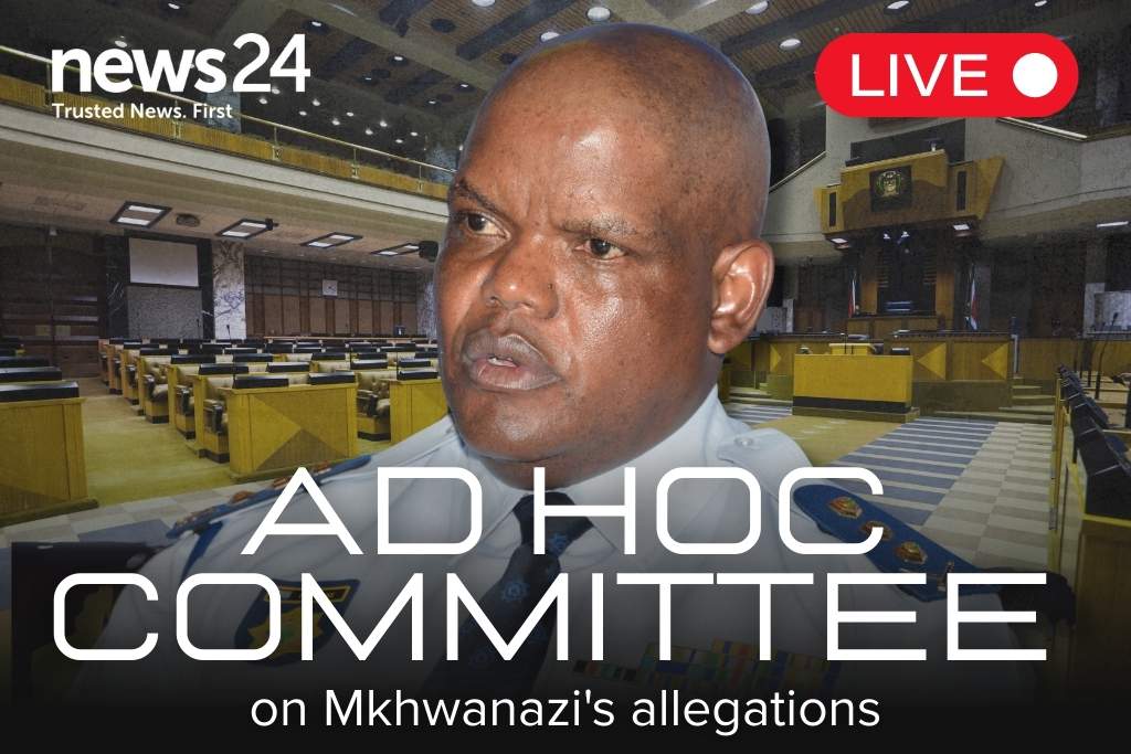 WATCH LIVE | Ad hoc committee restarts with former acting police boss ...
