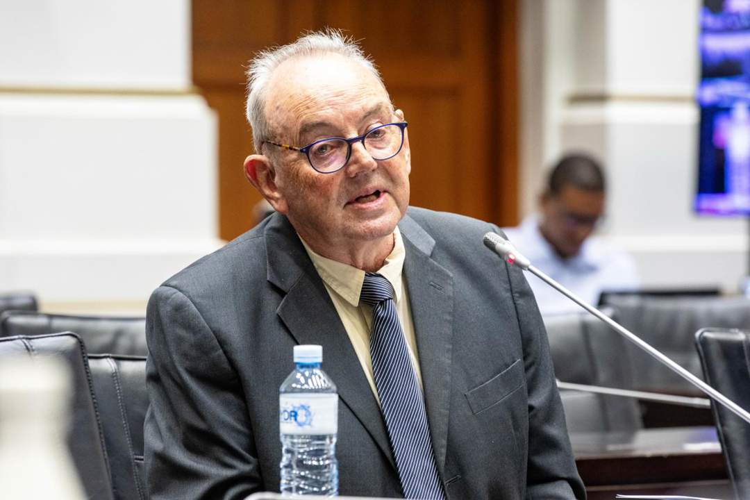 Parliament could have avoided police ‘mess’ if it did as ConCourt ...
