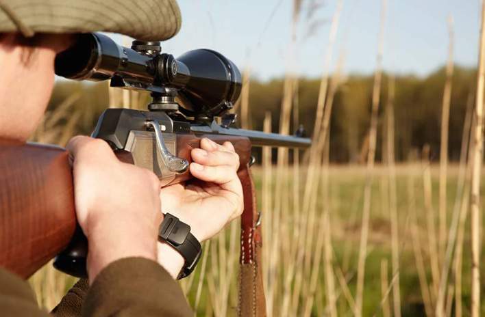 SA trophy hunting export quotas revived after four-year freeze | News24