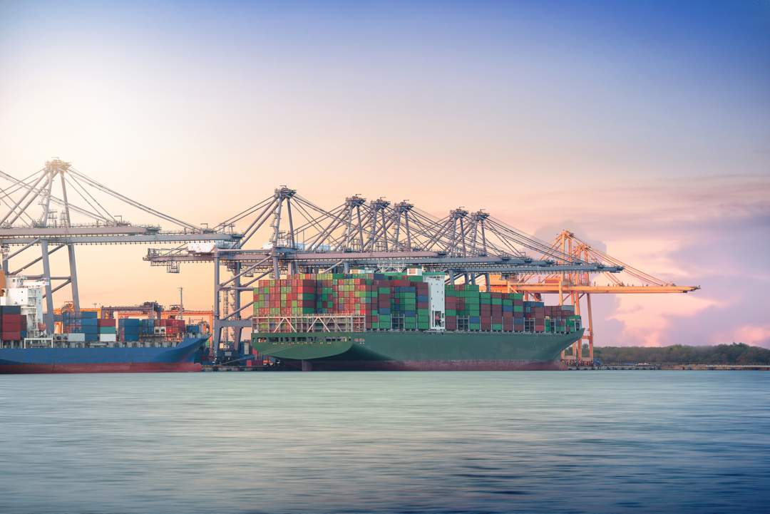 Transnet calls for bidders for Richards Bay commodities terminal | News24