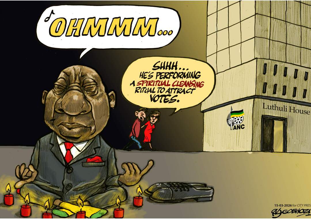 CARTOON | Mgobhozi: The ANC’s cleansing | News24
