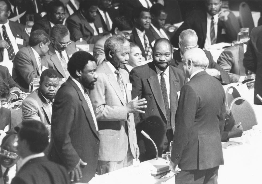 Adriaan Basson | This week could start our Economic Codesa | News24