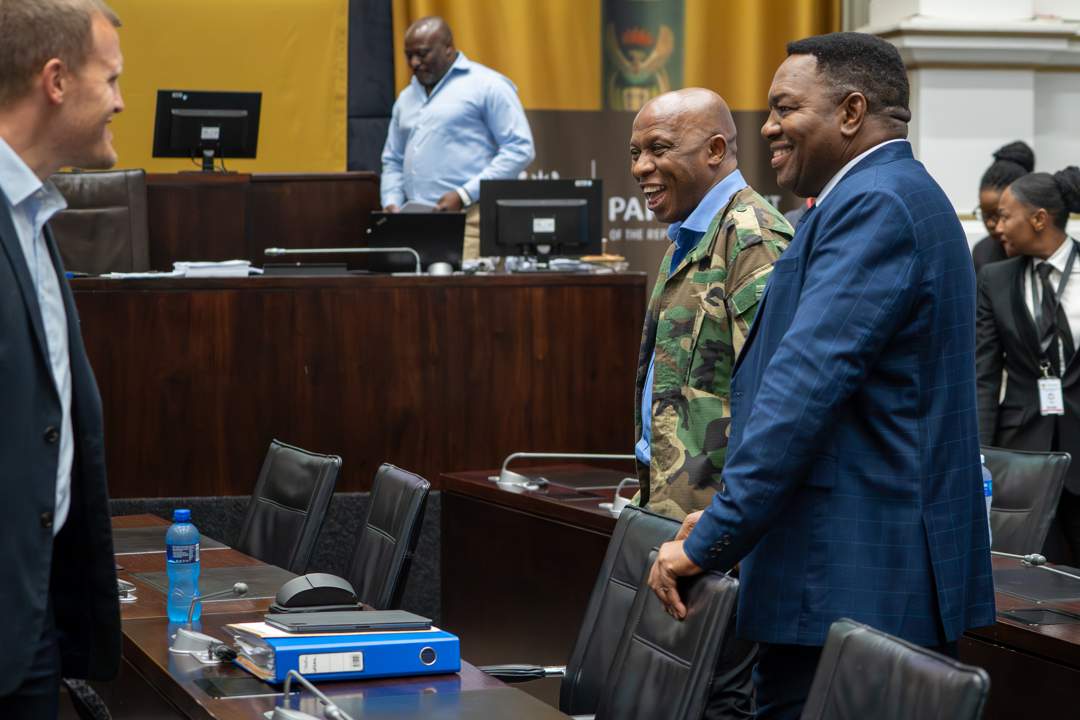 Nthabi Nhlapo | A mess worth watching: Why I’d do Parliament’s hearings ...