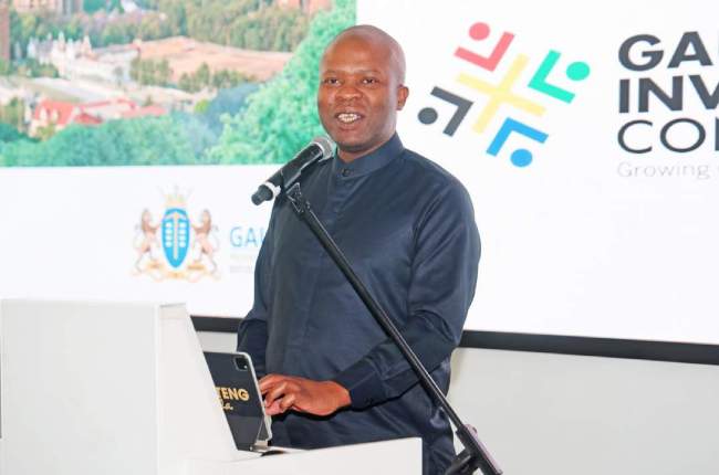 Gauteng positions itself as Africa’s investment hub | News24
