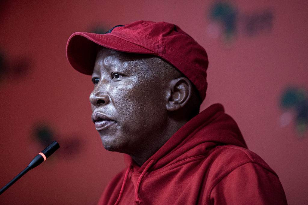 Malema wants courts to silence claims about criminal links, divorce ...