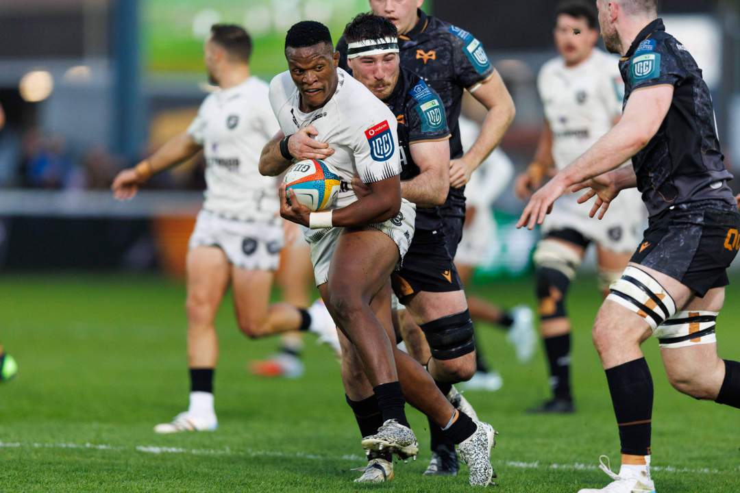 Sharks’ loss to Ospreys puts fans out of own misery as slim URC play ...