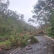 News24 | garden route