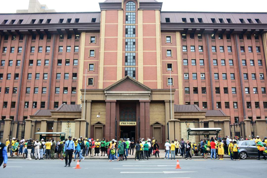 High Court to hear constitutional case seeking Joburg Zoo elephants ...