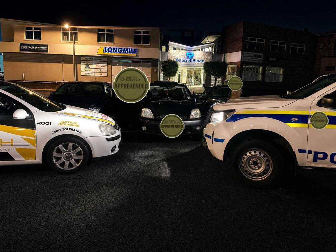 Cape Town serial petrol thief nabbed in dramatic sting operation | News24