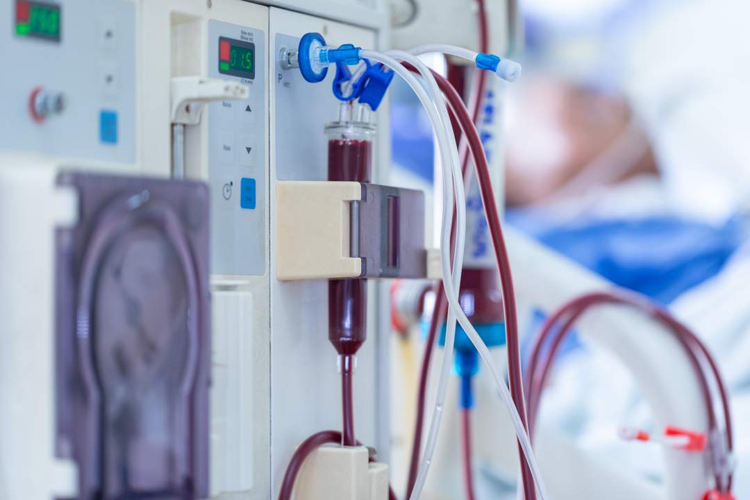Adcock allegedly overcharged for kidney drugs | News24