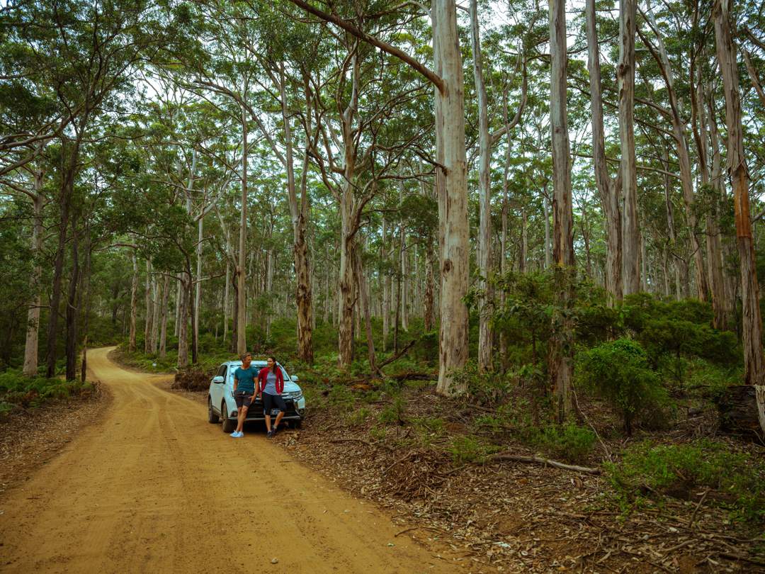 World-class wine meets wild coastline in the Margaret River Region | News24